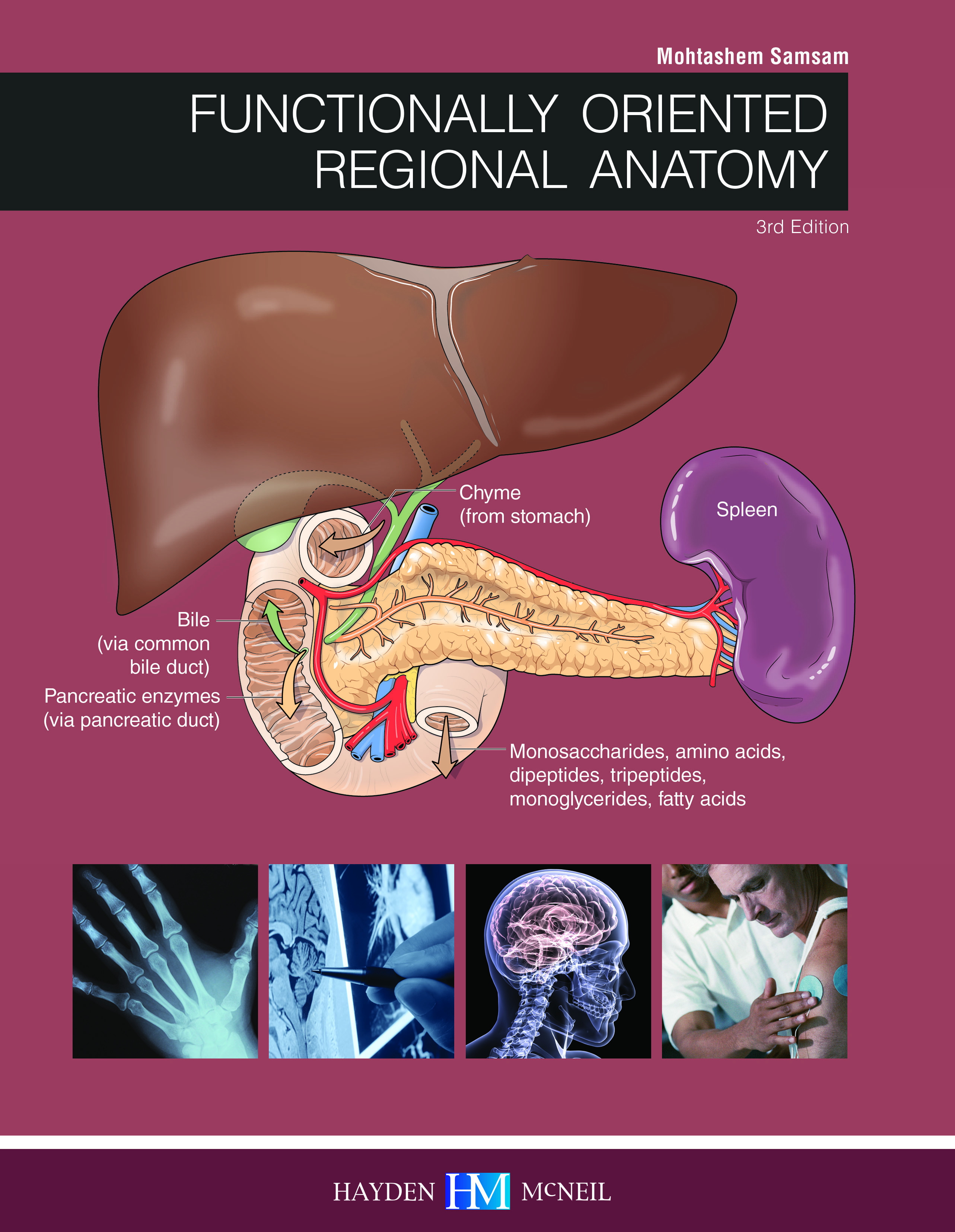 What Is Regional Anatomy