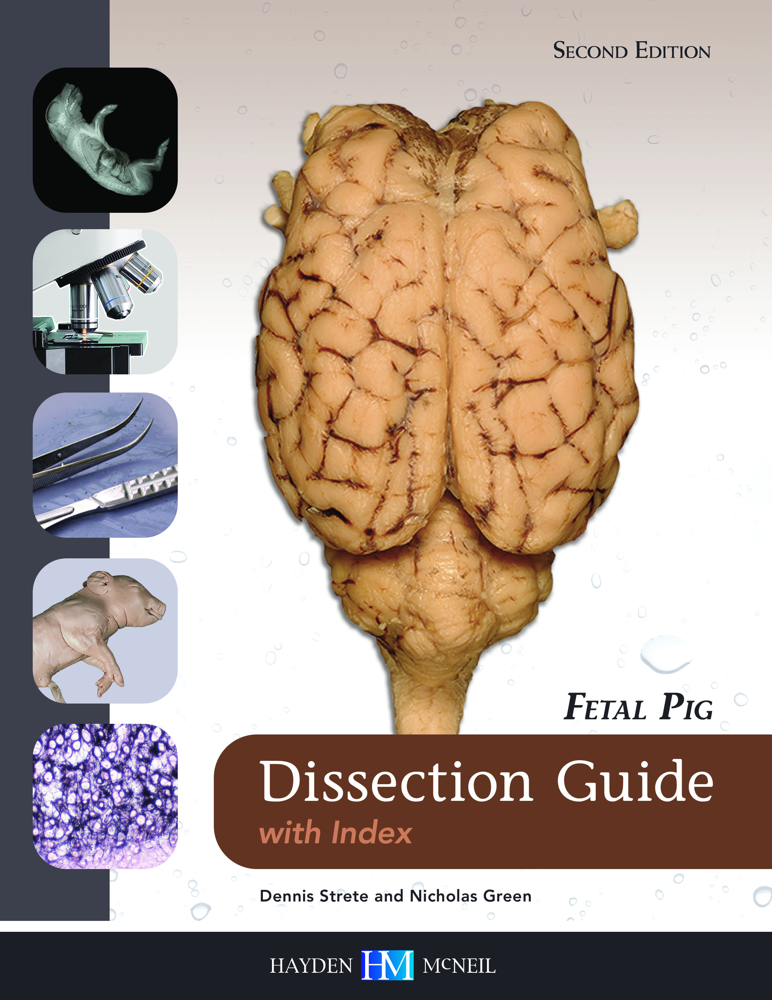 Fetal Pig Dissection Guide With Index 9780738079998 Macmillan Learning Fetal Pig Dissection Guide With Index 9780738079998 Macmillan Learning
